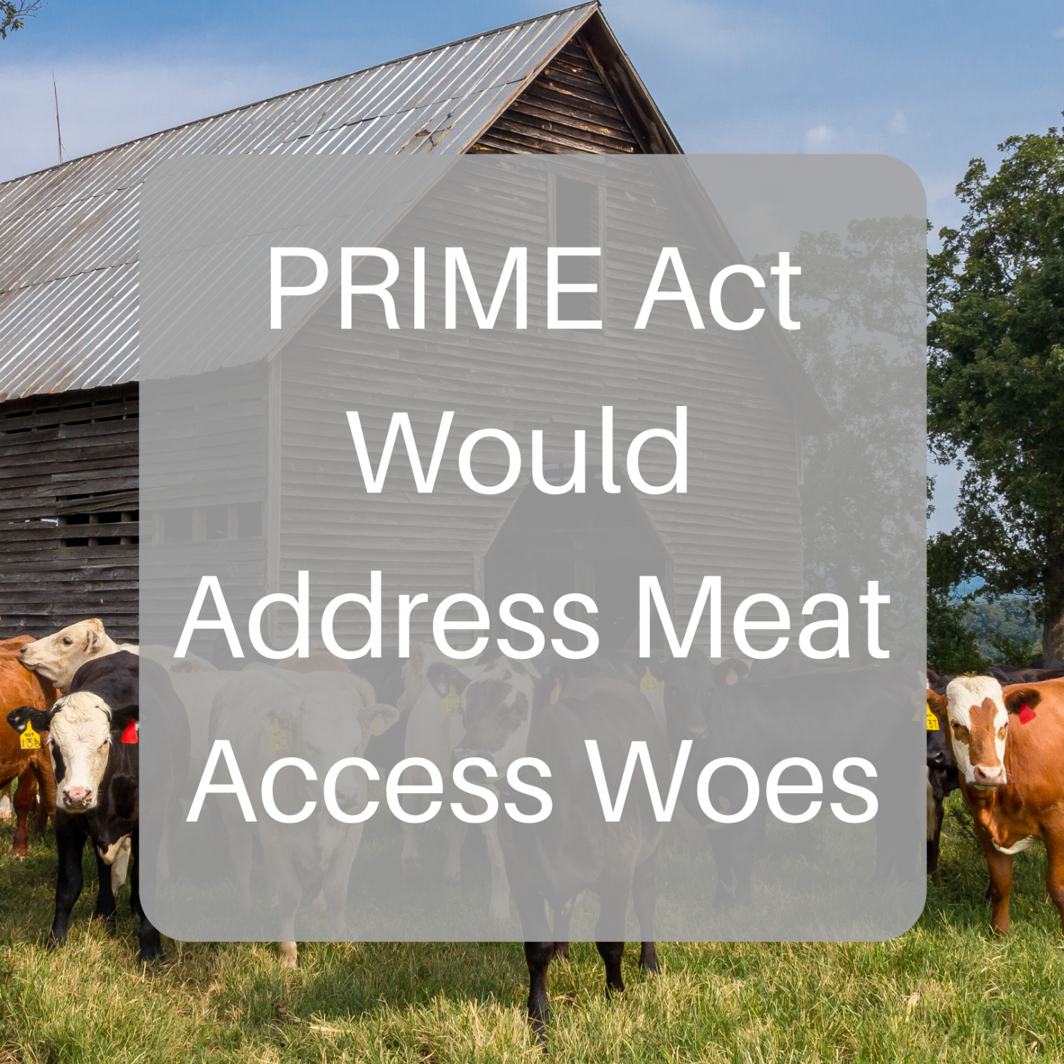 PRIME Act Would Address Meat Access Woes - Farm-to-Consumer Legal ...
