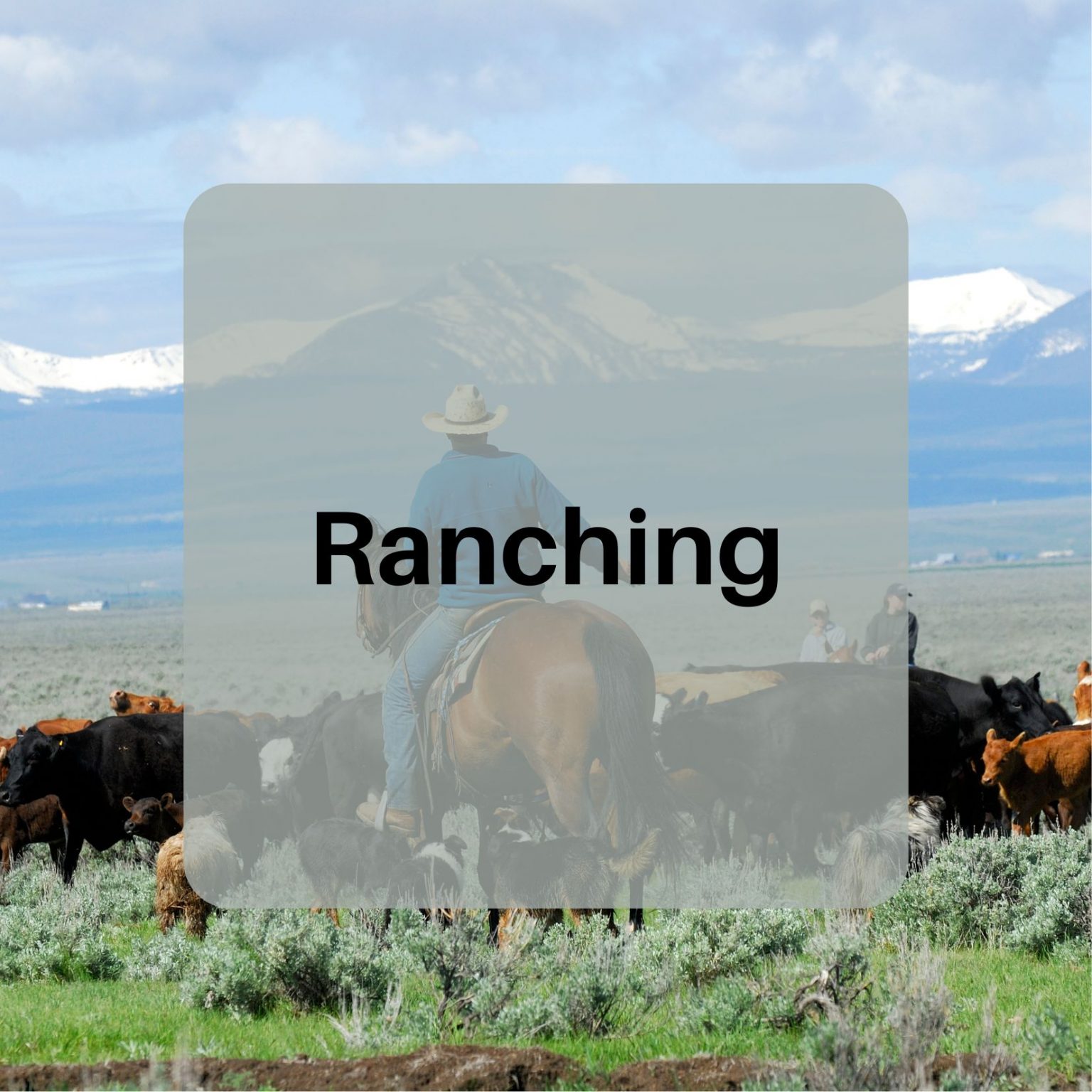 Resources - Farm-to-Consumer Legal Defense Fund