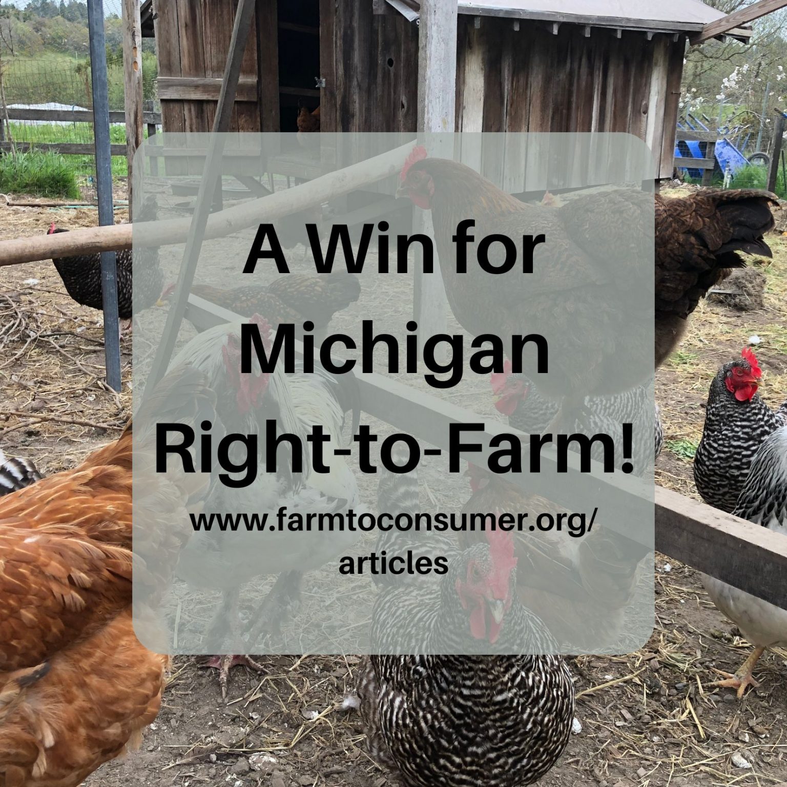 News - Farm-to-Consumer Legal Defense Fund