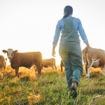 PRIME Act Reintroduction - Farm-to-Consumer Legal Defense Fund